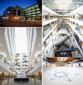 Palácio do Gelo Shopping – Prémio Cinco Estrelas Regiões